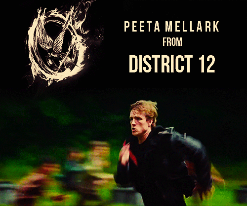 The hunger games GIF on GIFER - by Grafym