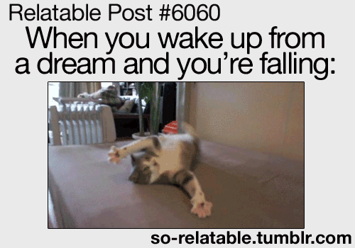 Cat dream true GIF on GIFER - by Mnezel