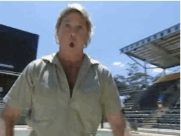 Steve irwin GIF on GIFER - by Malofym