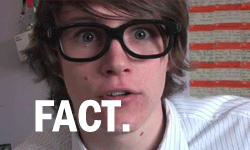 GIF fact - animated GIF on GIFER - by Anann