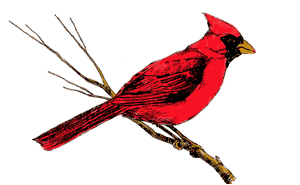 Cardinals transparent GIF on GIFER - by Kelerus
