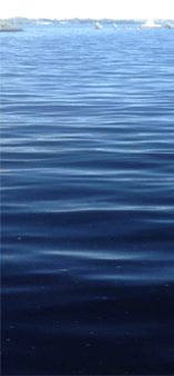 Ocean sail water GIF on GIFER - by Beardana
