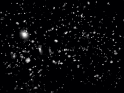 Nasa black and white space GIF on GIFER - by Gholbijurus