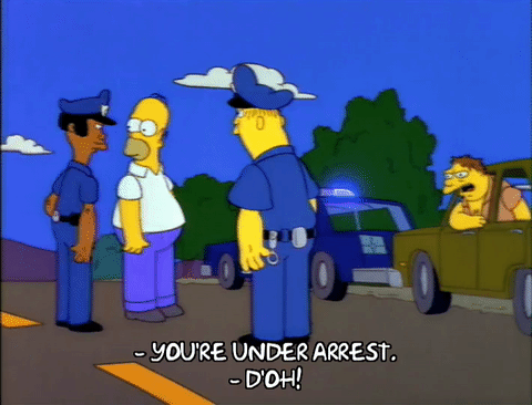 Drunk driving homer simpson sad GIF on GIFER - by Bacage
