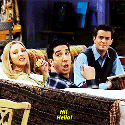Friends GIF on GIFER - by Taurisar