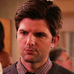 Parks and recreation GIF on GIFER - by Nuadarin