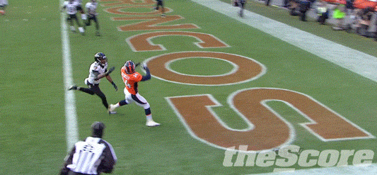 Nfl GIF on GIFER - by Dosida