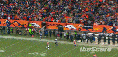 Nfl GIF on GIFER - by Danius