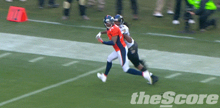 GIF nfl - animated GIF on GIFER - by Gholbirus
