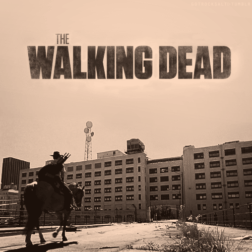Twd the walking dead GIF on GIFER - by Magis
