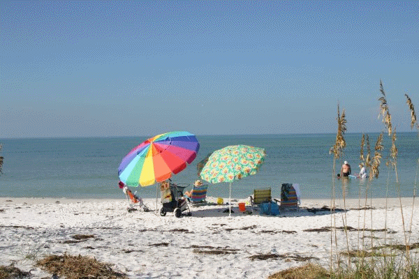 GIF beach - animated GIF on GIFER - by Truefist