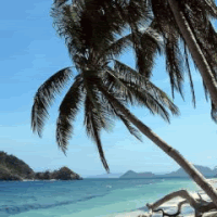 GIF beach - animated GIF on GIFER - by Zalsa