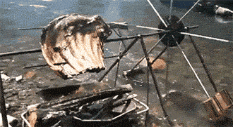 GIF insurance - animated GIF on GIFER