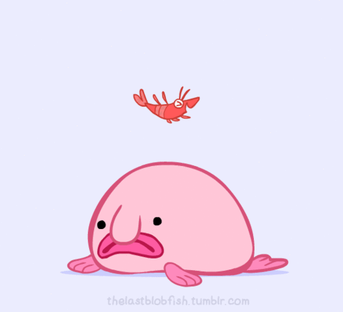 GIF blob - animated GIF on GIFER