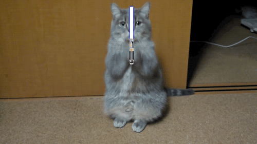 Jedi GIF - Find on GIFER