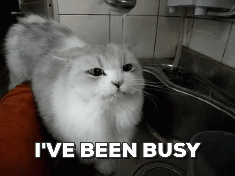 Busy im too busy cant make it GIF - Find on GIFER
