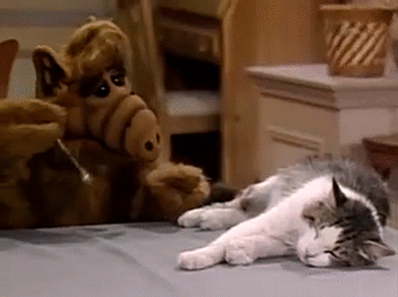 Alf GIF - Find on GIFER