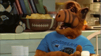 Alf GIF - Find on GIFER
