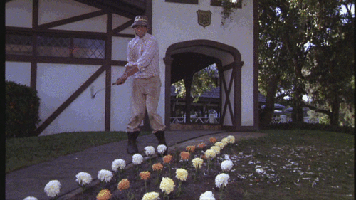 Caddyshack GIF - Find on GIFER