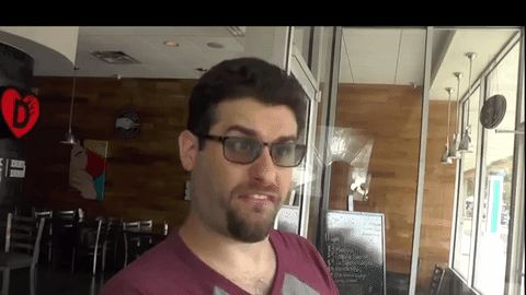 GIF goose geese birds - animated GIF on GIFER