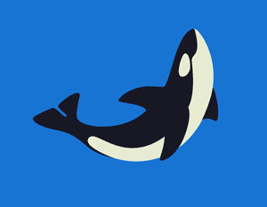 GIF orca - animated GIF on GIFER