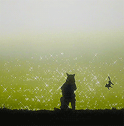Anime water flcl GIF on GIFER - by Dorr