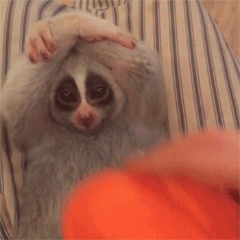 ColecoVision may be the most important system of all time. | NeoGAF