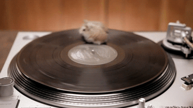 Vinyl record GIF - Find on GIFER