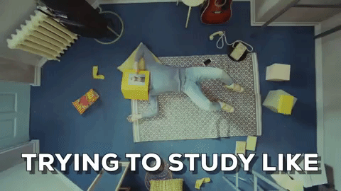 GIF studying exams trying to study - animated GIF on GIFER