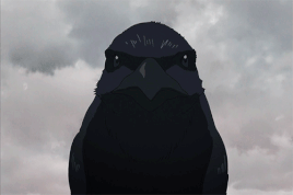 Crow GIF - Find on GIFER