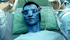 Avatar project movie GIF - Find on GIFER