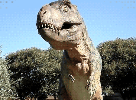 GIF animals animales dinosaurio - GIF animado en GIFER