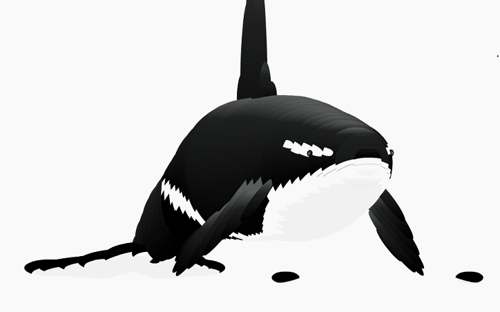 Orca warp GIF - Find on GIFER