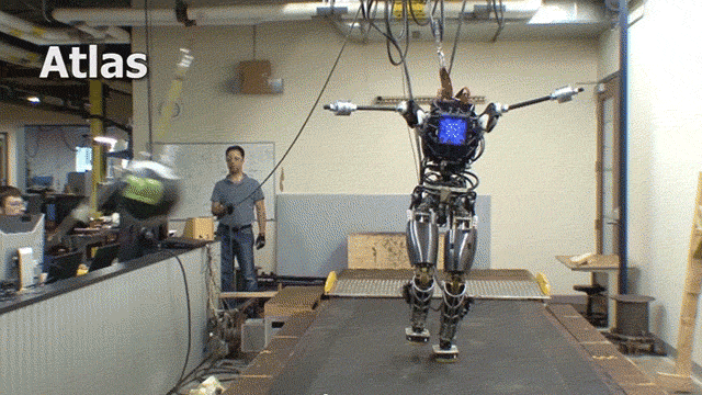 GIF robot human balance - animated GIF on GIFER
