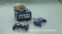Gamecube GIF - Find on GIFER