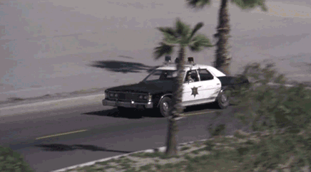 GIF police cops cop - animated GIF on GIFER