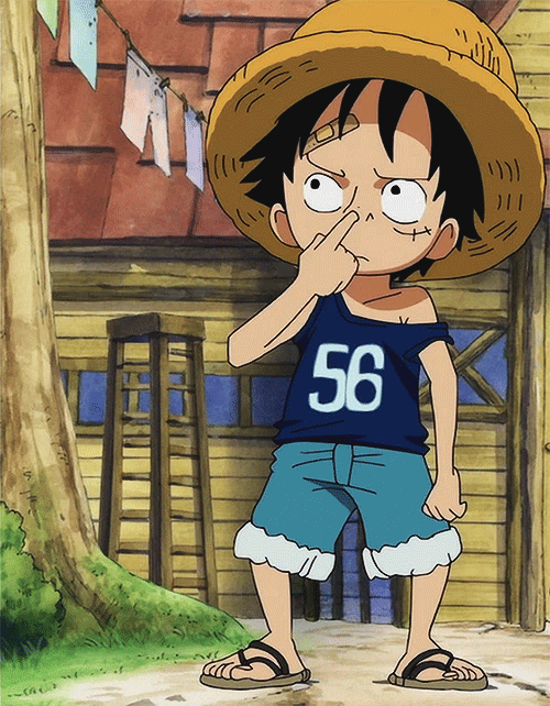 GIF luffy - animated GIF on GIFER