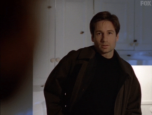 Xfiles the x files GIF - Find on GIFER