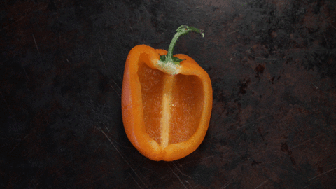 GIF pepper - animated GIF on GIFER