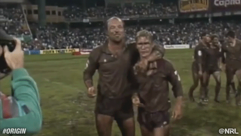 GIF state of origin qld queenslander - animated GIF on GIFER