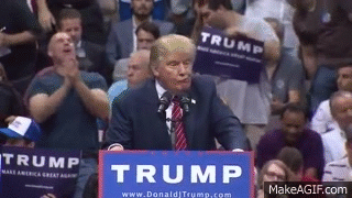 Trump rally GIF - Find on GIFER