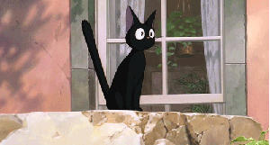 GIF haywire - animated GIF on GIFER