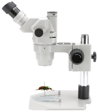 Microscope GIF - Find on GIFER