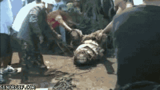 Eraserhead Animated Gif