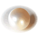 Pearl GIF - Find on GIFER
