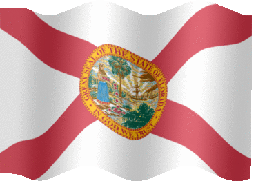 Flag florida GIF - Find on GIFER