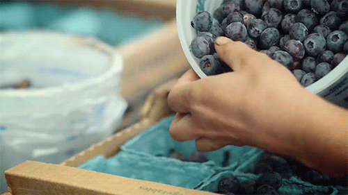 Blueberry food fruit GIF - Find on GIFER