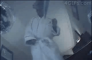 GIF cats moar - animated GIF on GIFER
