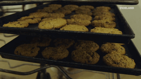 GIF cookies dead set on life baked goods - animated GIF on GIFER