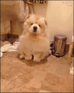 Chemical Explosion Gif